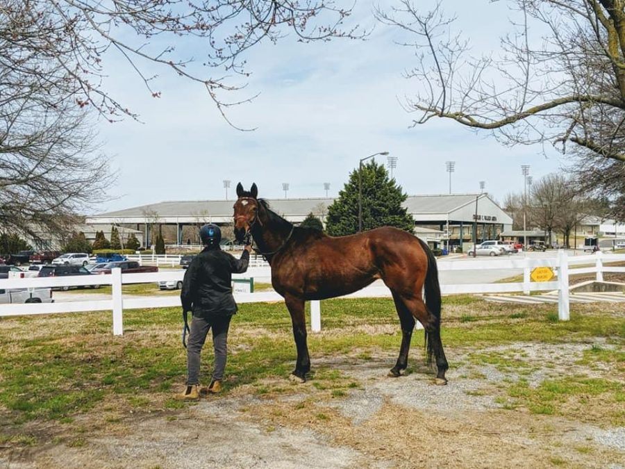 That Horse: Jen & Louise | HORSE NATION