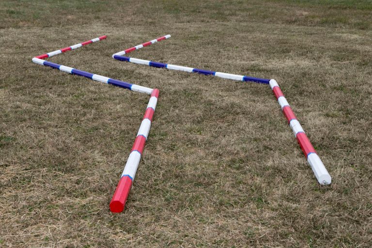 Beat Quarantine Boredom: 4 Ground-Pole Exercises | HORSE NATION