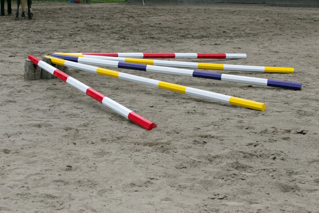 Beat Quarantine Boredom: 4 Ground-Pole Exercises | HORSE NATION