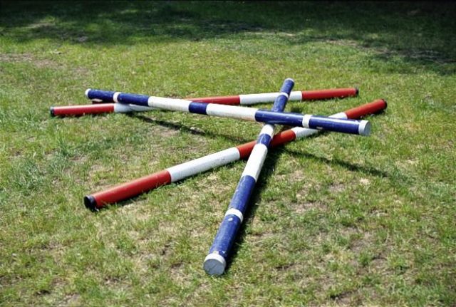 Beat Quarantine Boredom: 4 Ground-Pole Exercises | HORSE NATION