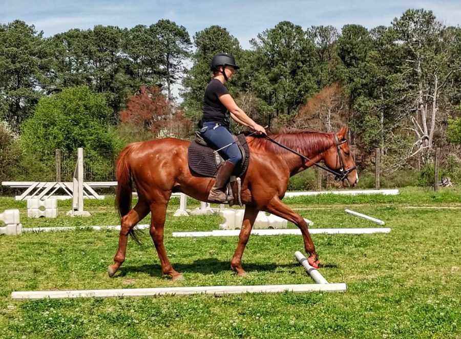 In Limbo: Jen & Louise | HORSE NATION