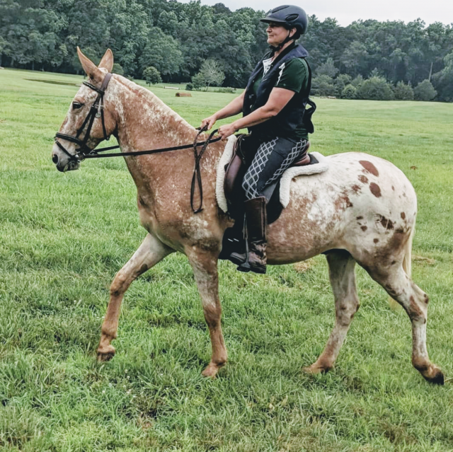 Necessary Safety Systems: Jen & Louise | HORSE NATION
