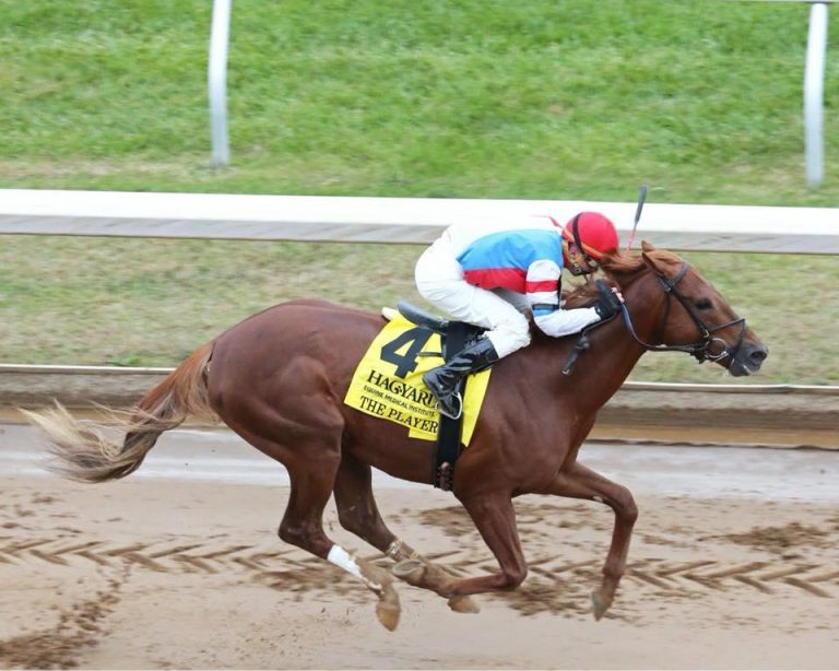 Winner’s Circle Redefined: The Comeback of The Player | HORSE NATION