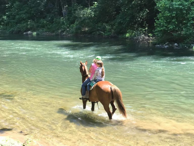 Hitting the Trails: The Virginia Horse Center in Lexington, VA | HORSE ...