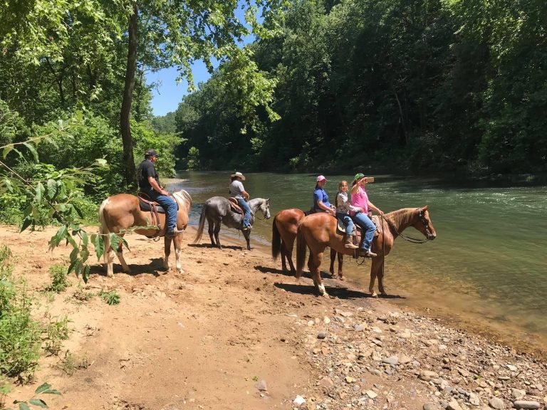 Hitting the Trails: The Virginia Horse Center in Lexington, VA | HORSE ...