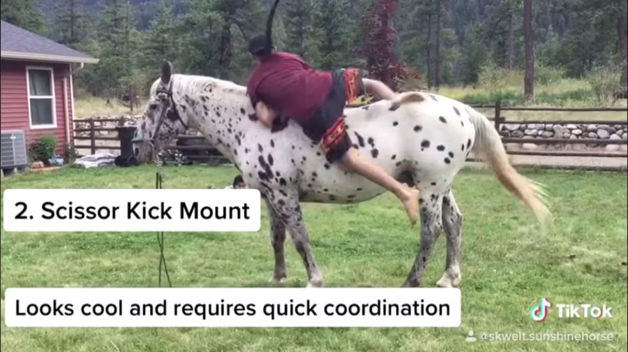 Thursday Video: 6 Ways to Get on Your Noble Steed | HORSE NATION