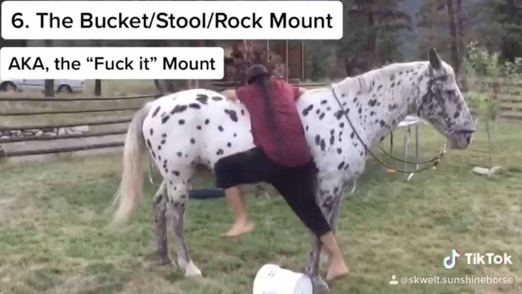 Thursday Video: 6 MORE Ways to Mount Your Horse | HORSE NATION