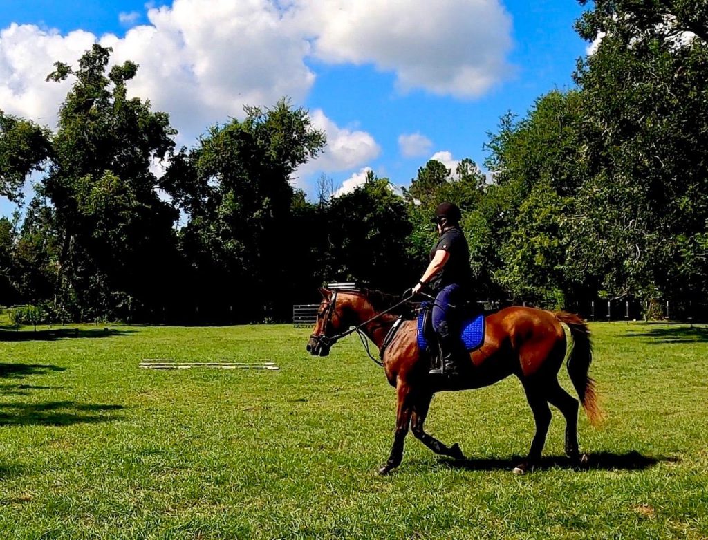 Shopping for the Rider I Want to Be: Libby & Spider | HORSE NATION
