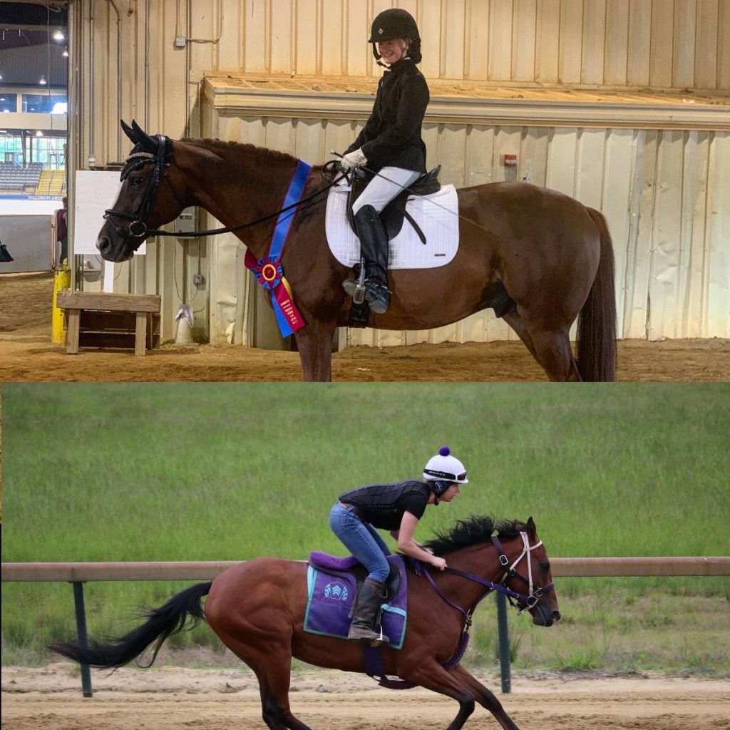 thoroughbred incentive program | HORSE NATION