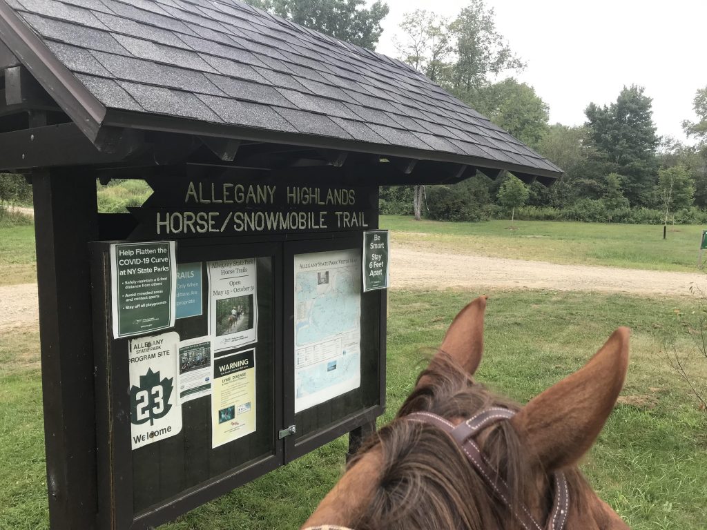 Hitting the Trails: Allegany State Park, Red House, NY | HORSE NATION