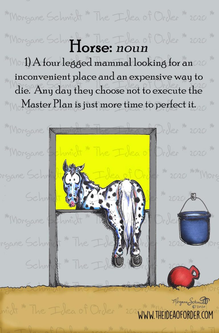 The Idea of Order: The Definition of Horse | HORSE NATION