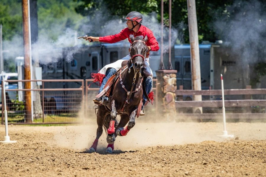 What Colors Look Best on My Horse? | HORSE NATION