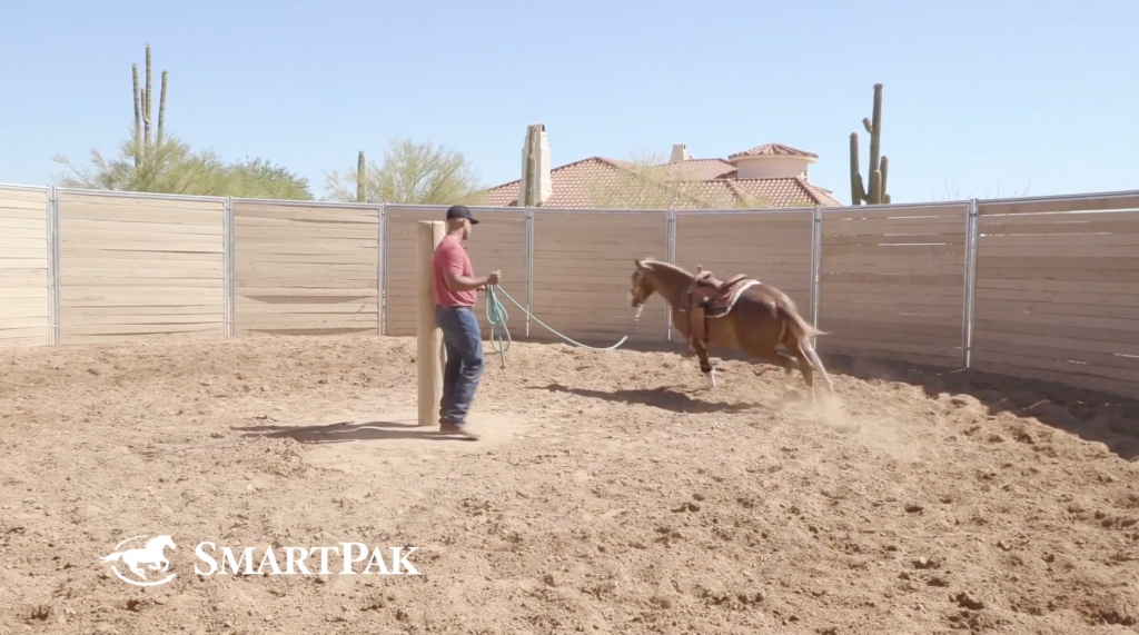 SmartPak Monday Morning Feed: Ask a Trainer — Maintaining Space While ...