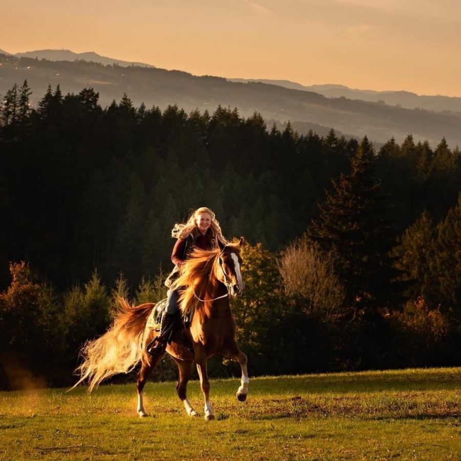 Photo Challenge: Riding Into The Sunset | HORSE NATION