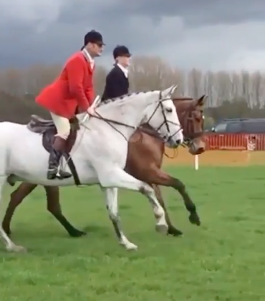 Mind Your Melon: Synchronized Riding | HORSE NATION
