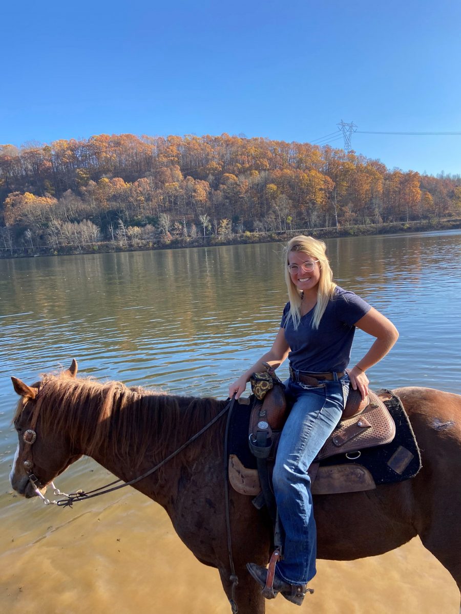 Rehabbing Funny Bunny B: On a Vacation | HORSE NATION