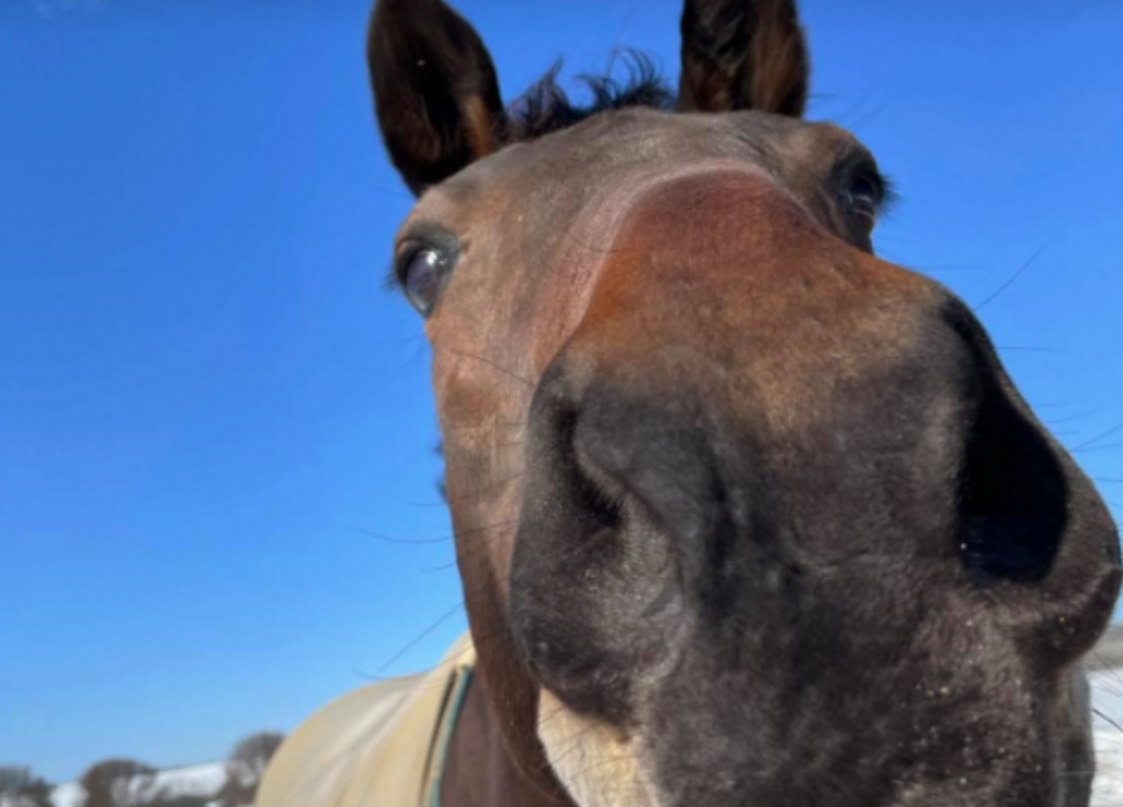 Best of JN: A Holistic Approach to Measuring Success | HORSE NATION