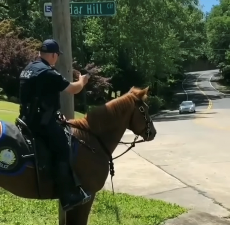 Kentucky Performance Products Tuesday Video: Speed Trap | HORSE NATION
