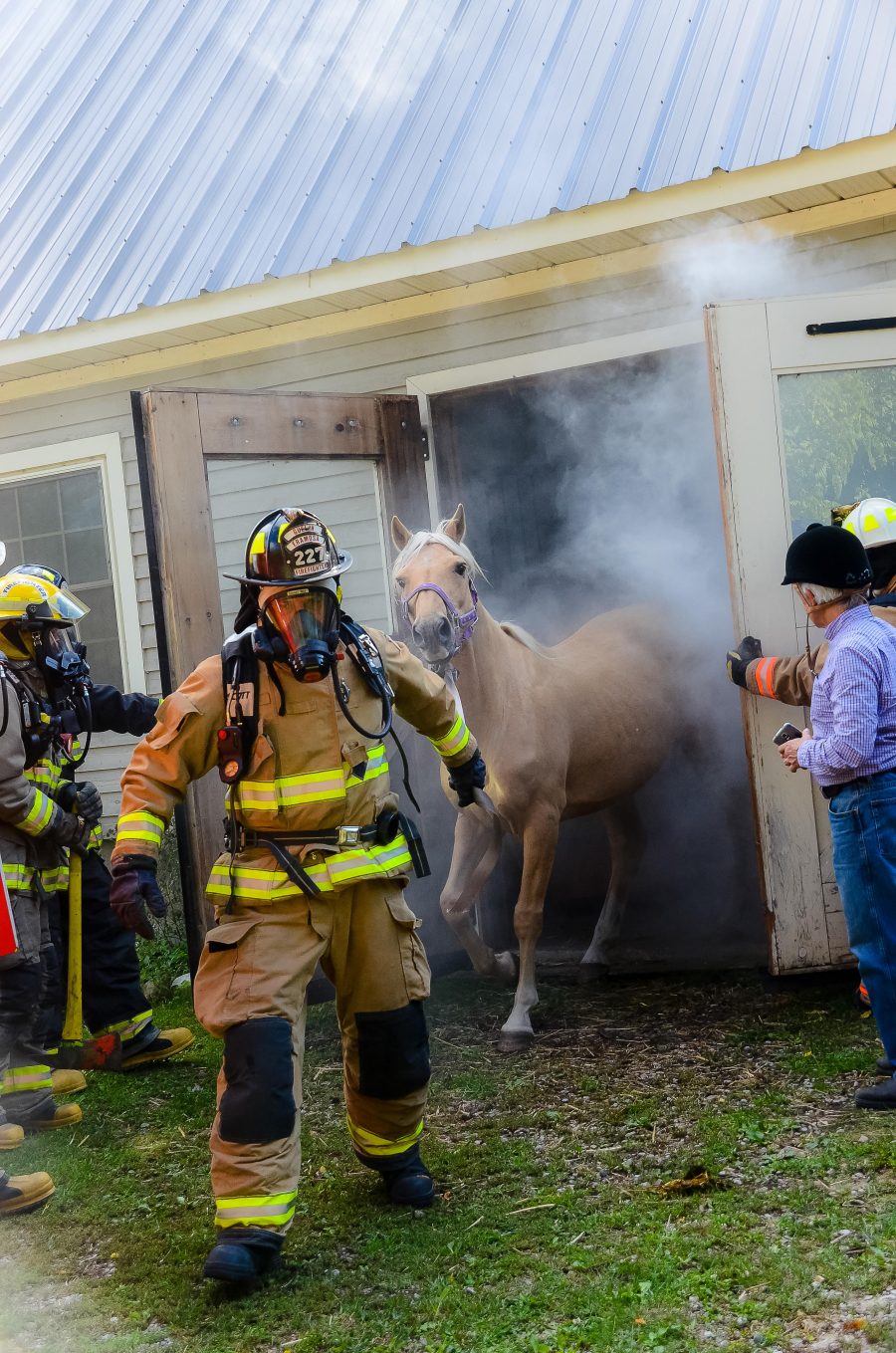 Weekend Wellness: Equine Guelph Offers New Industry Certificate | HORSE ...