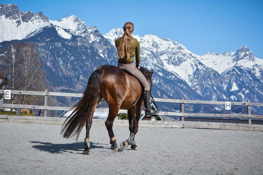 Six Reasons Why Horseback Riding is Considered Amazing Exercise | HORSE ...