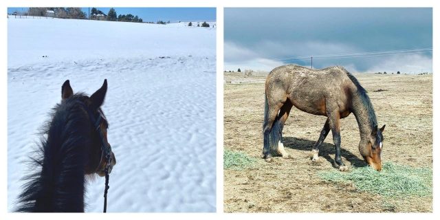 Riding a Rollercoaster: Britany & Kittie | HORSE NATION