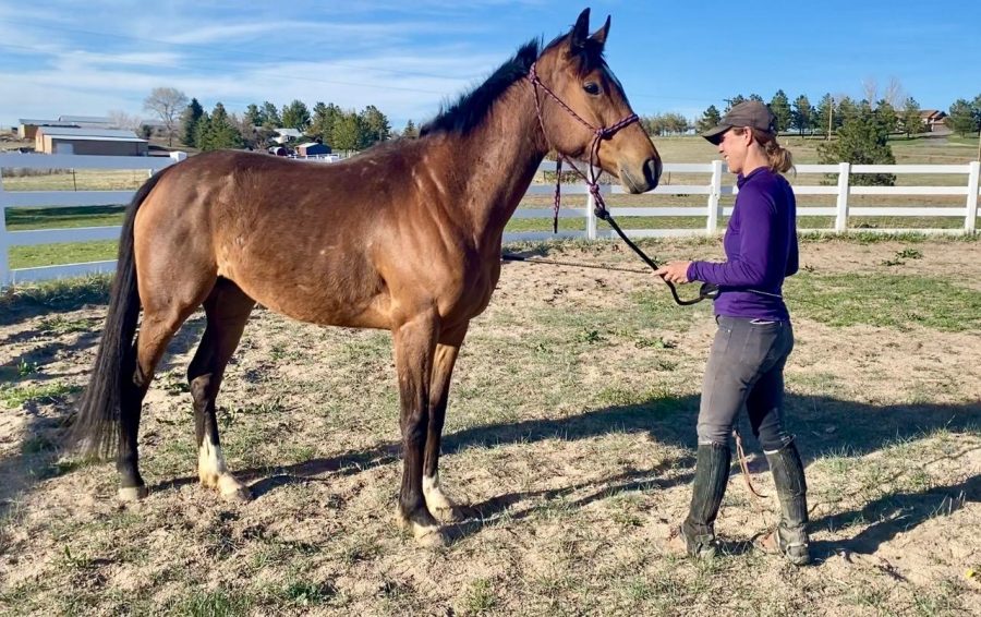 Riding a Rollercoaster: Britany & Kittie | HORSE NATION