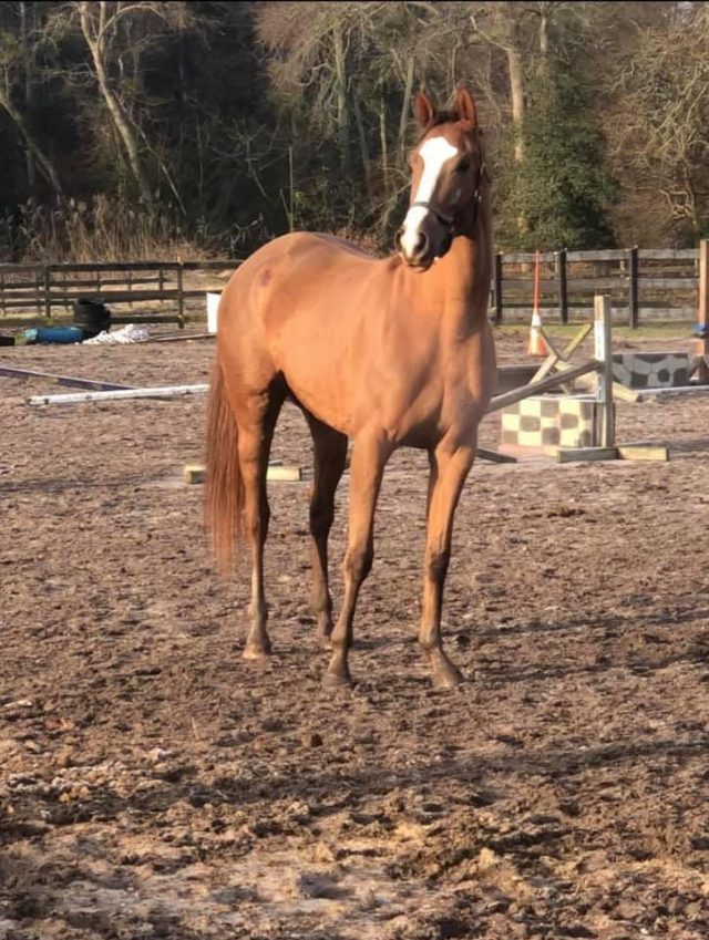 Of Love and the Pursuit of Soundness: A Story of (and for) Juice, Part ...