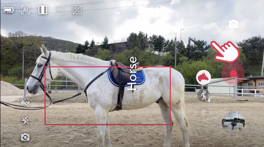 Product Review: Pivo Silver Edition | HORSE NATION