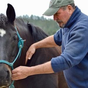 Equitana USA to Feature Clinics with Lynn Palm, Bodywork Seminars with ...