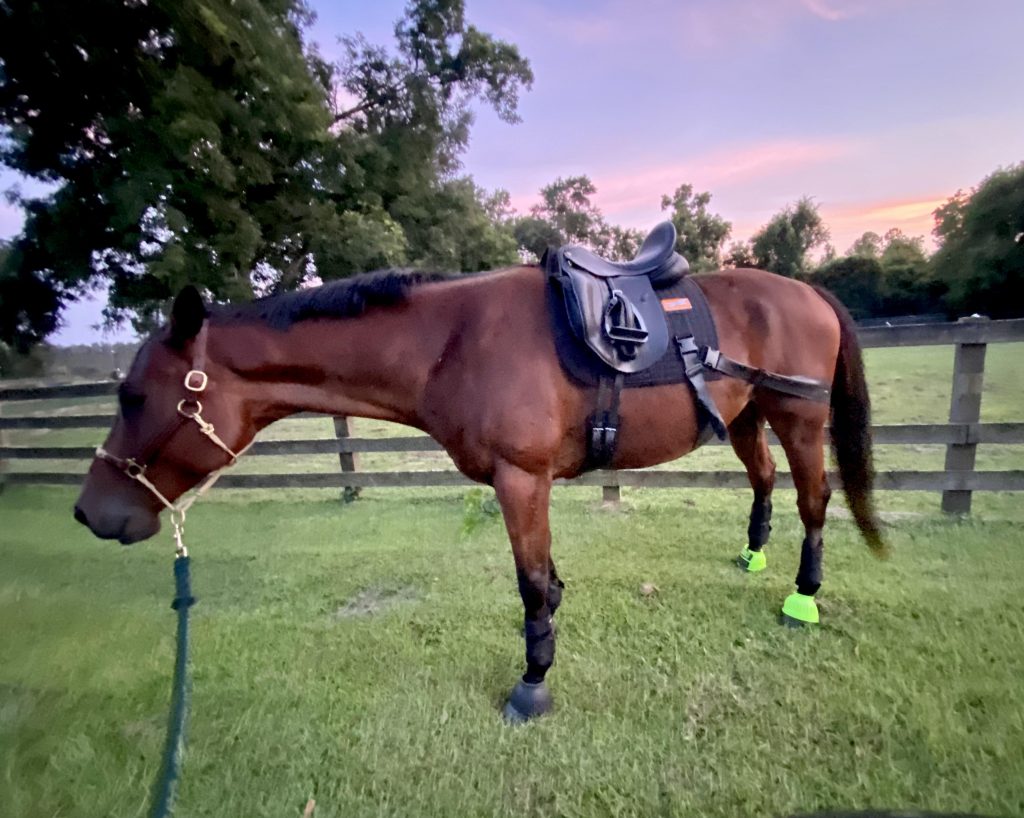 Mental Preparation: Libby & Spider | HORSE NATION
