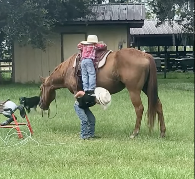 Kentucky Performance Products Tuesday Video: Shoulda Been a Cowboy ...