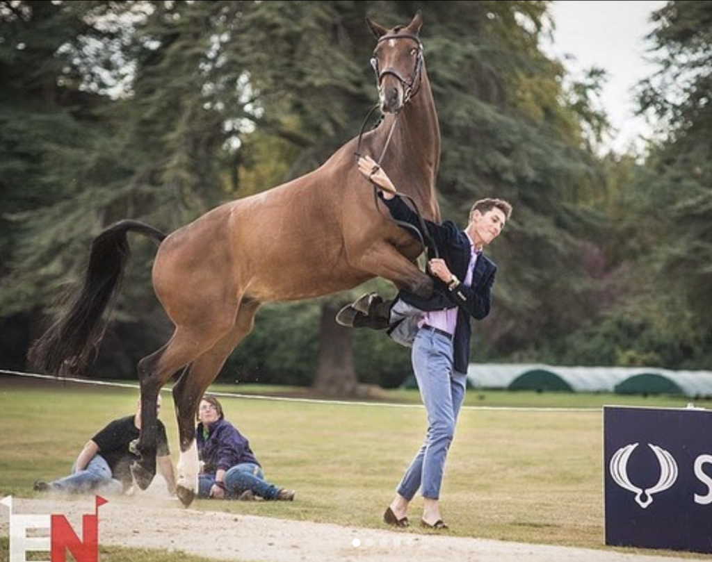‘Oh Crap’ Monday: Trot up Gone Wrong | HORSE NATION
