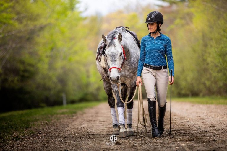 Two Ways To Use Positive Reinforcement Training | HORSE NATION