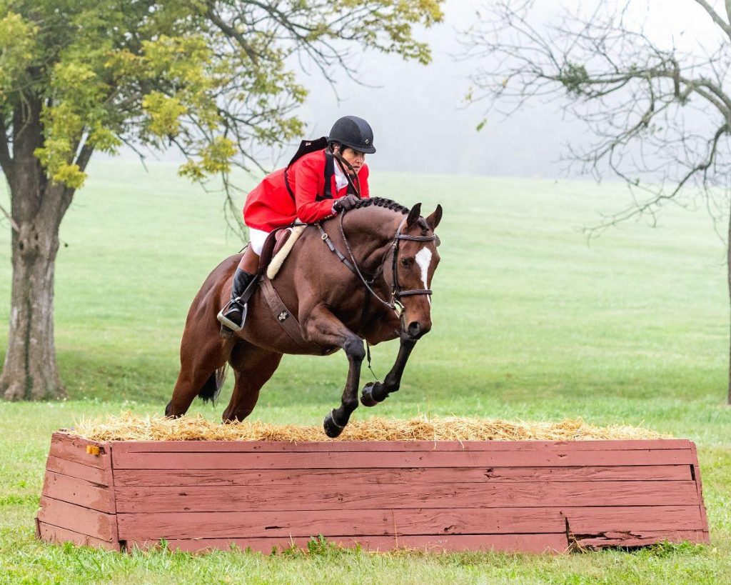 Final Day of Preliminary Competition Complete at TB Makeover | HORSE NATION