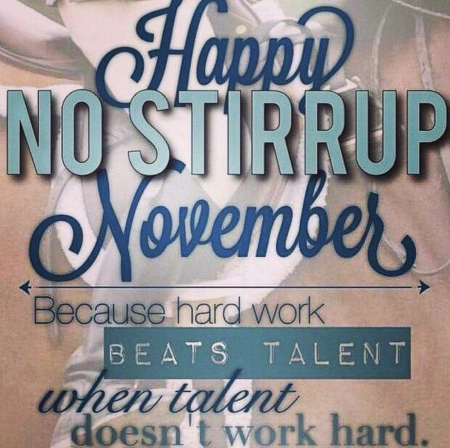 #NoStirrupNovember Social Media Roundup: Week 1 | HORSE NATION