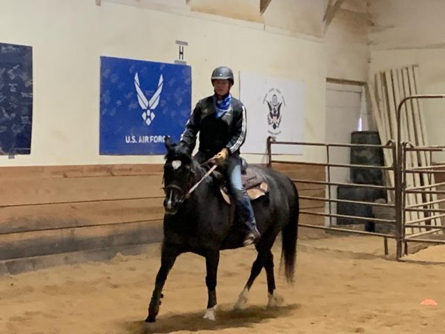 Of Veterans and Horses, Part 2: Jennifer Reynolds (Air Force) | HORSE ...