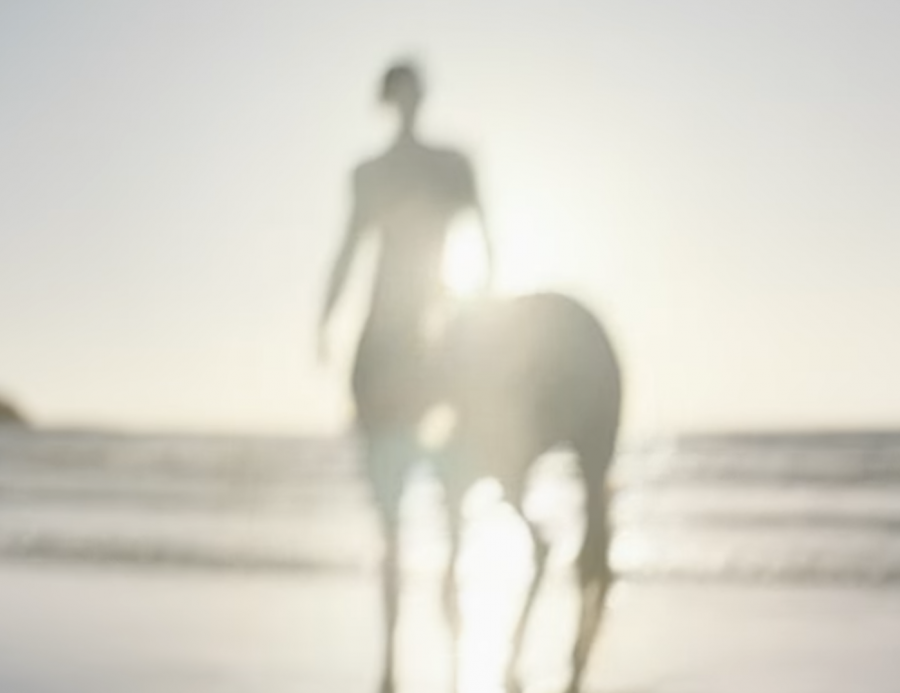 Thursday Video: Adam Driver Is a … Centaur? | HORSE NATION