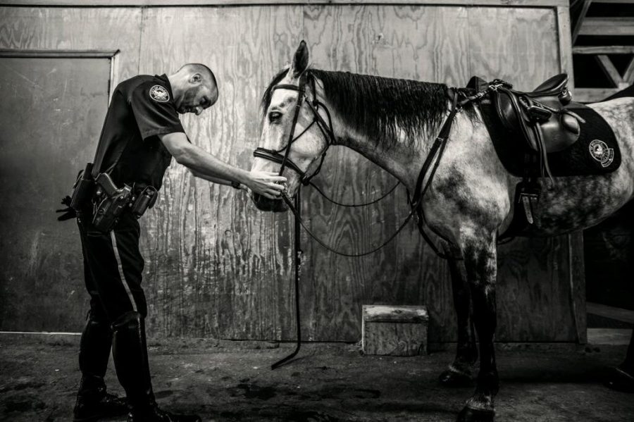 Of Veterans and Horses, Part 3: Officer Ryan Hinkle | HORSE NATION