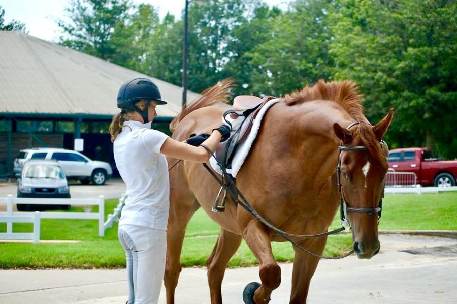 Thoroughbred Logic, Presented by Kentucky Performance Products: “Enough ...