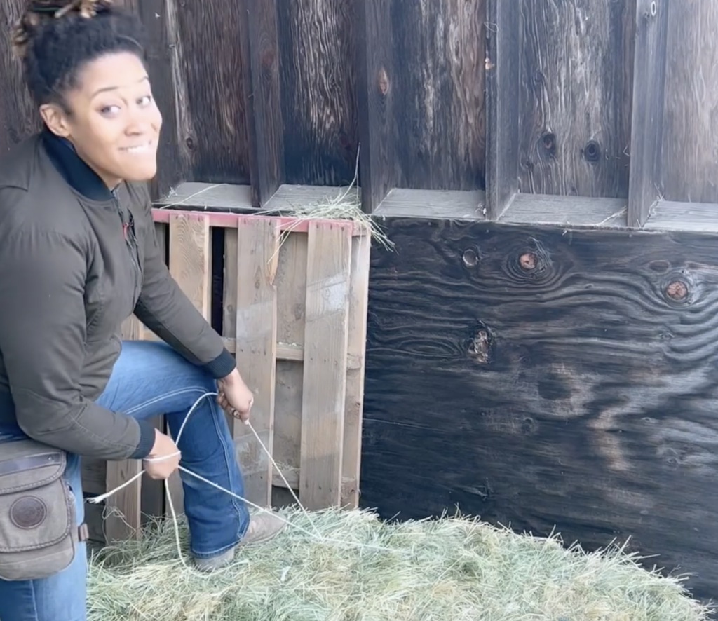 Thursday Video: Barn Hack | HORSE NATION