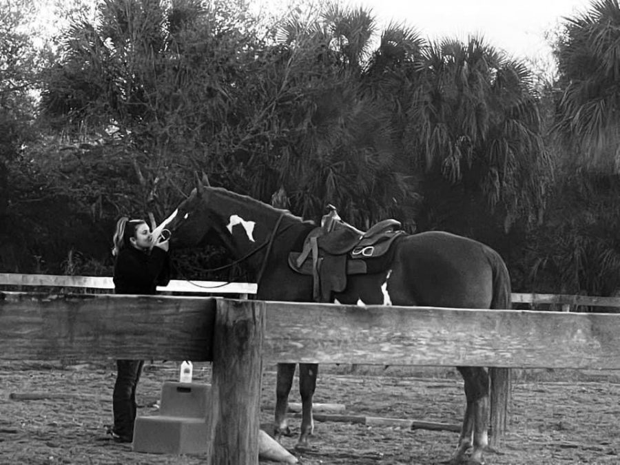 Reader Photo Challenge: Equine Valentines | HORSE NATION