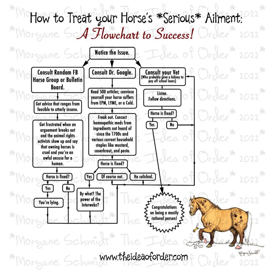 The Idea of Order: How to Treat Your Horse’s Injury… | HORSE NATION