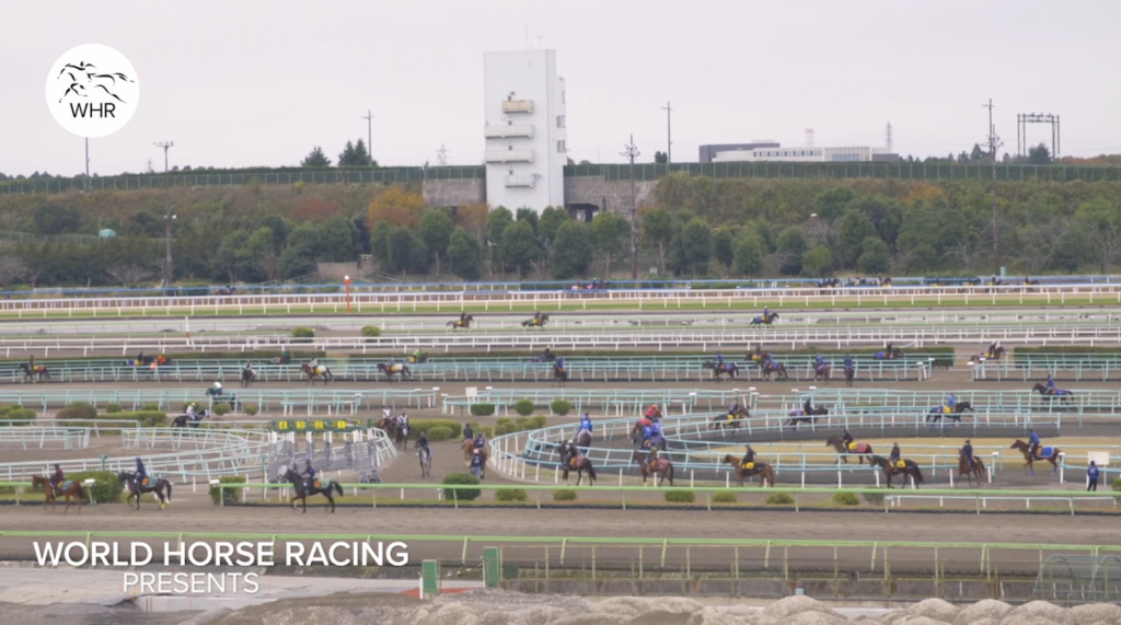 Thursday Video: Japan’s Largest Horse Racing Facility | HORSE NATION