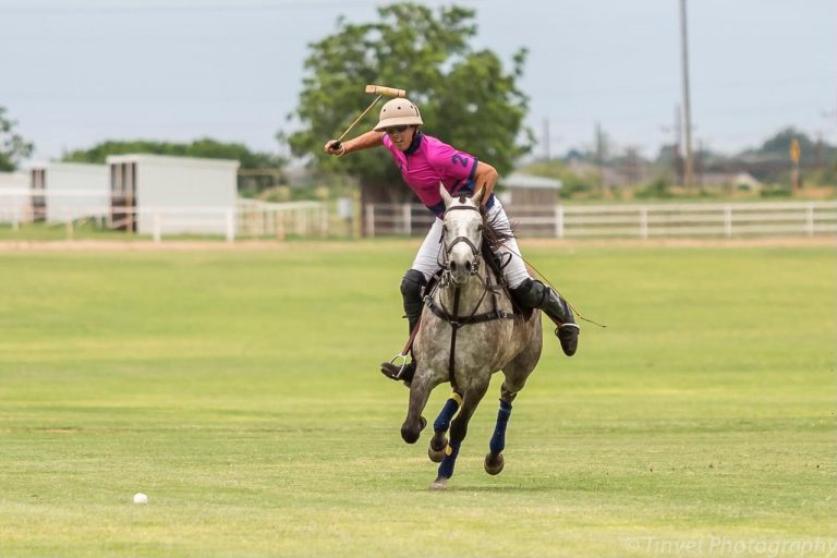 A Spring in Their Step: Keeping Polo Horses Comfortable and On Track to ...