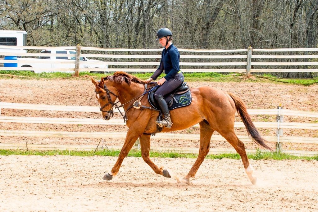 Thoroughbred Logic: Intentional Riding, Part 1 | HORSE NATION