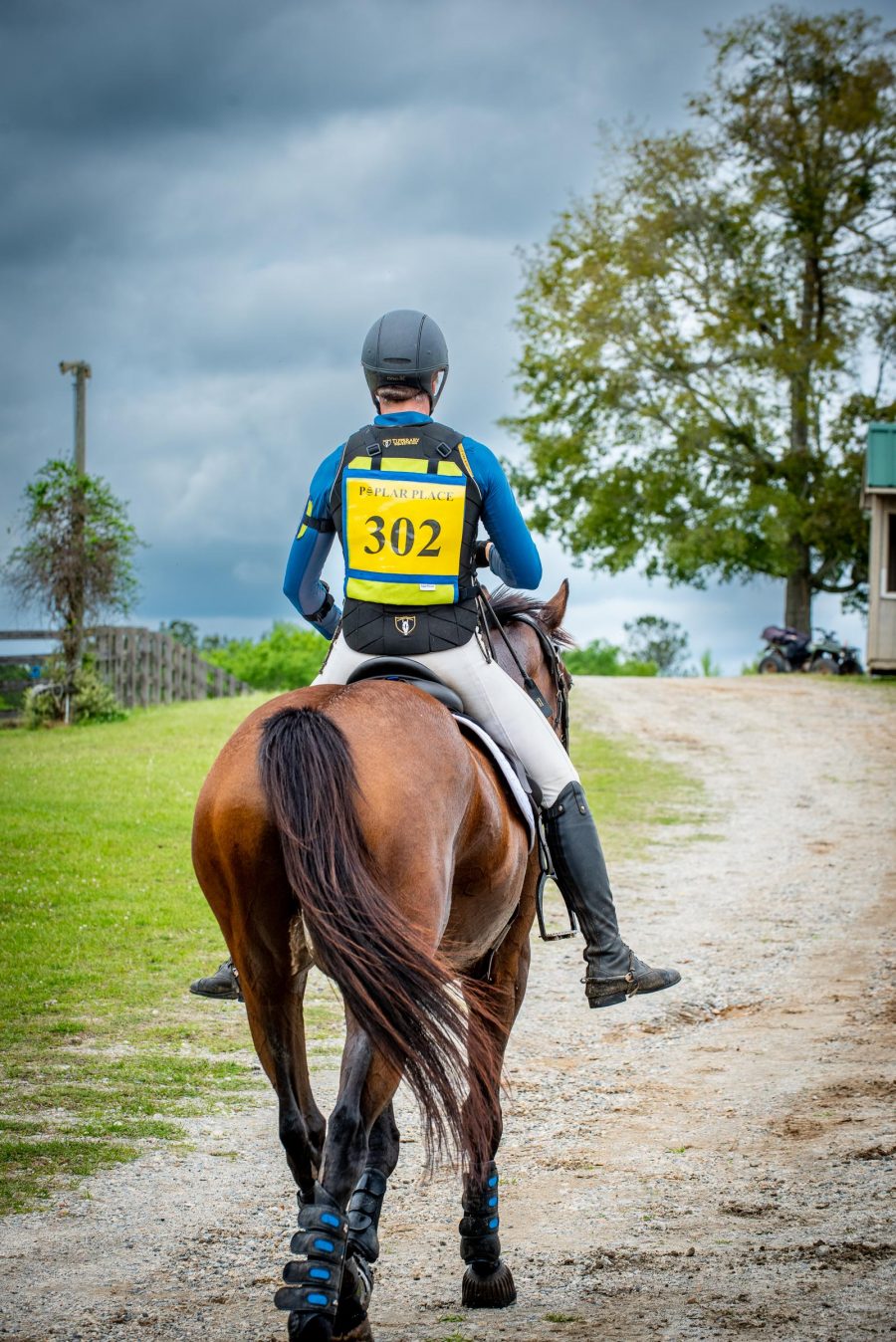 Thoroughbred Logic: Intentional Riding Part 2 – Flexibility | HORSE NATION