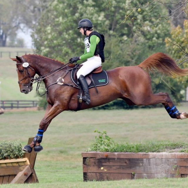 Thoroughbred Logic: Saddle Fit | HORSE NATION