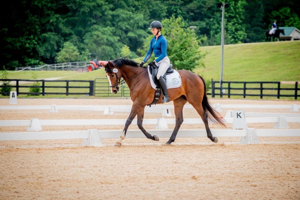 Thoroughbred Logic: Saddle Fit | HORSE NATION