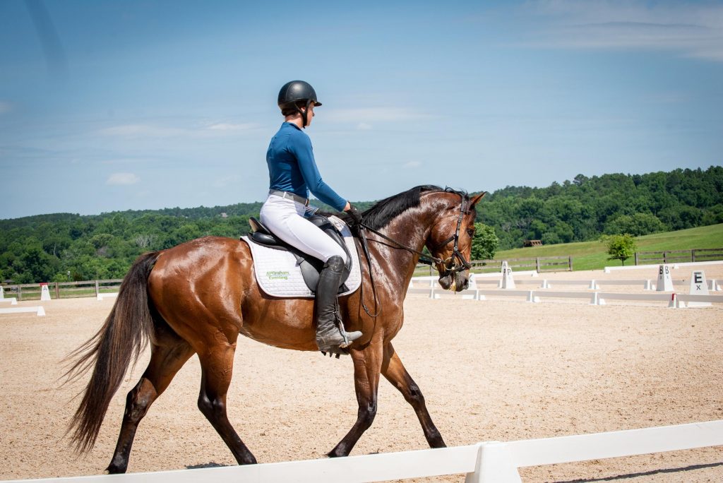 Thoroughbred Logic: Aim For The Whole Story | HORSE NATION