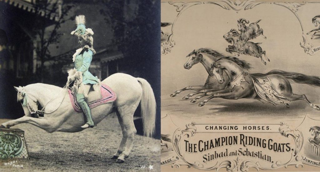 Horses in the Circus: The Outtakes | HORSE NATION